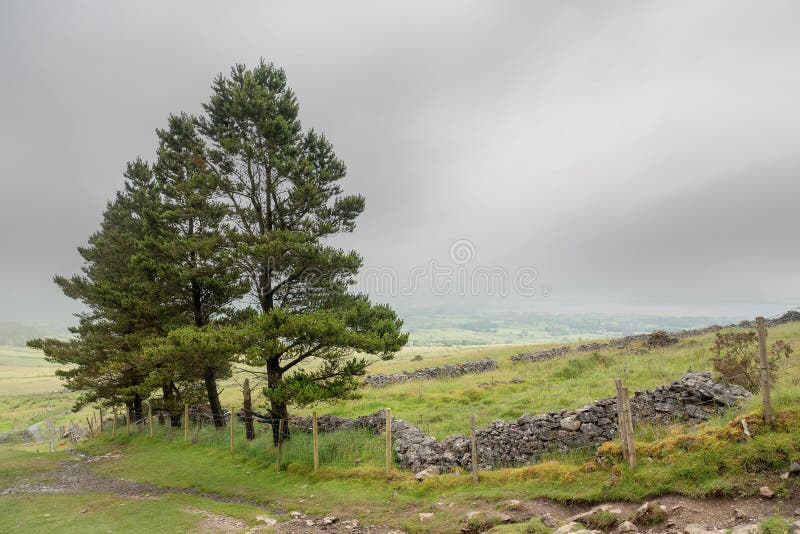 Small Walking Path with Great View on Beautiful Country Side with Green ...