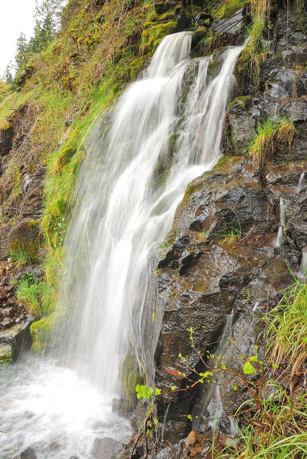 Small Water stock photo. Image of moss, rock, cascade - 29391796