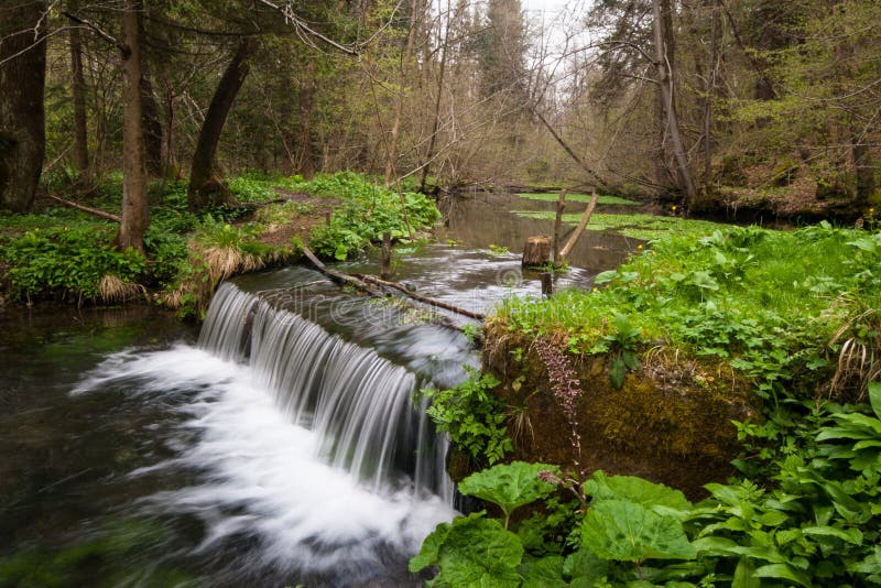 Small Water Cascade Marsh Stock Photos - Free & Royalty-Free Stock ...