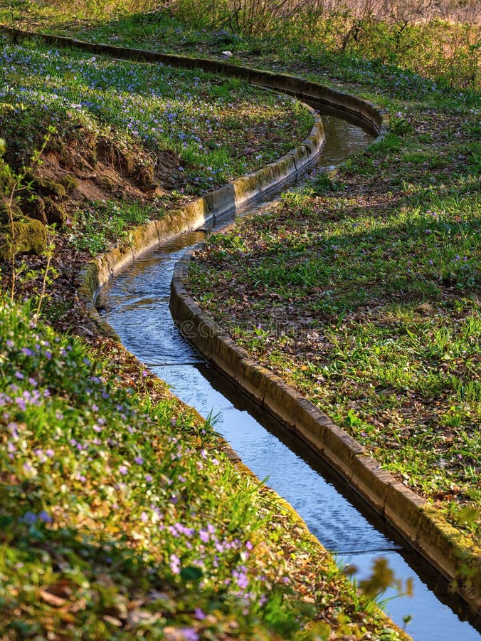 Small Water Channel in Nature. Small Meander of a Stream Stock Image ...