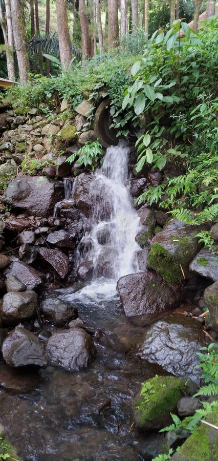 The Small Water Fall in Curug Semirang Stock Photo - Image of autumn ...