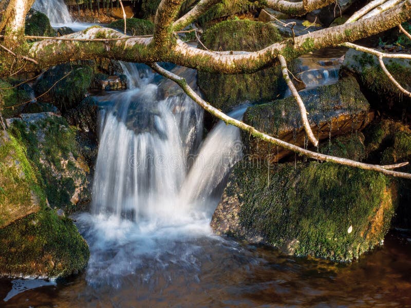 Small Water Wall and a Pool of Water. Beautiful Nature Landscape Scene ...