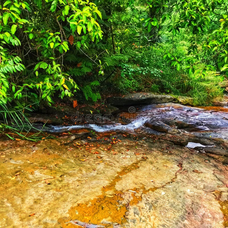 Rathnapura Rathgama Stock Photos - Free & Royalty-Free Stock Photos ...