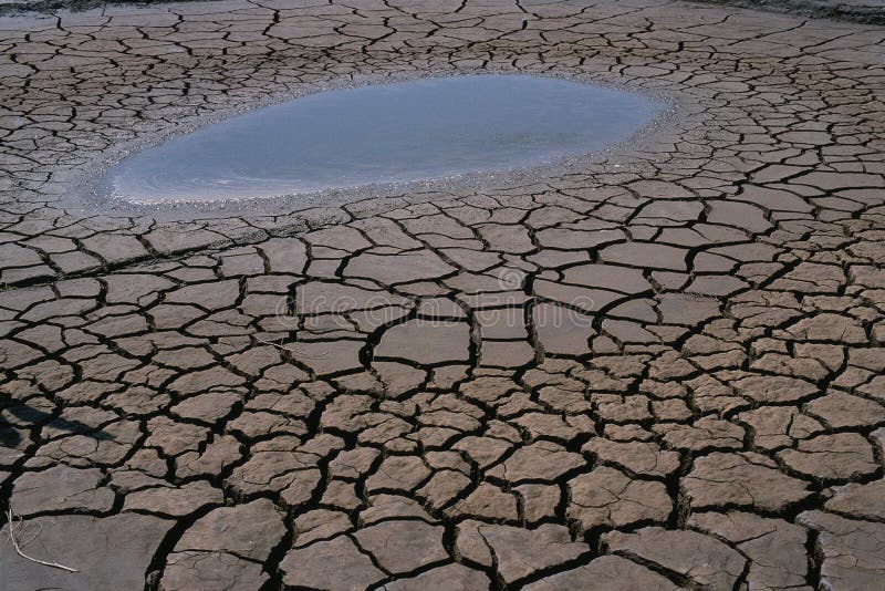 Small Water Puddle on Cracks in Dried - Up Land Stock Illustration ...
