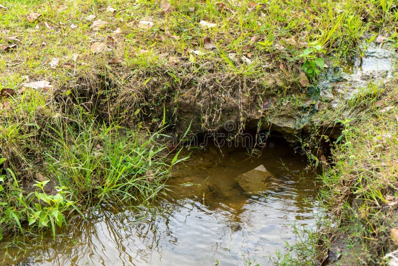 Small Water Puddle at a Park Stock Photo - Image of rural, nature ...