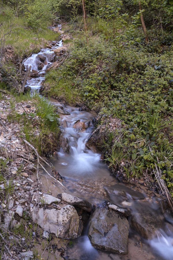 Small water stream stock photo. Image of vegetables, details - 40257896