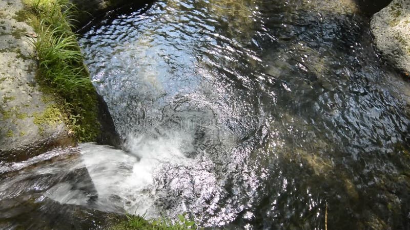 Small Water Flow in Rice Fields, Irrigation Flow in Rice Fields Stock ...