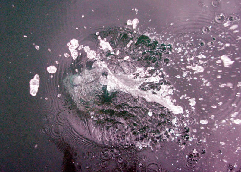 Small Water Wave in a Pond from Above Stock Photo - Image of crest ...