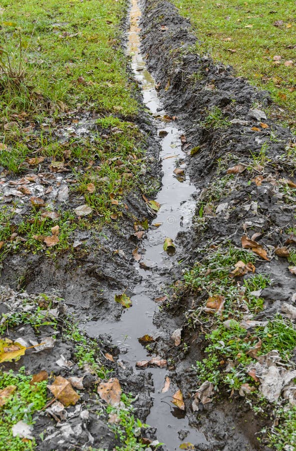 Small Watercourse stock image. Image of green, plant - 40313331