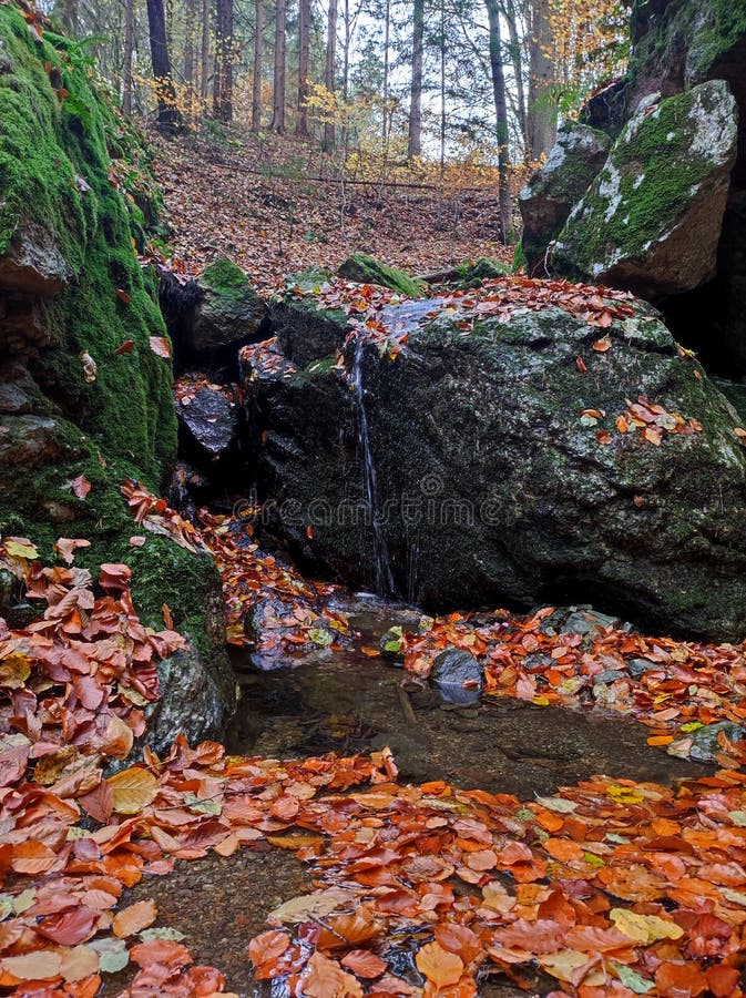 Water, Watercourse, Waterfall, Nature Reserve Picture. Image: 132861614