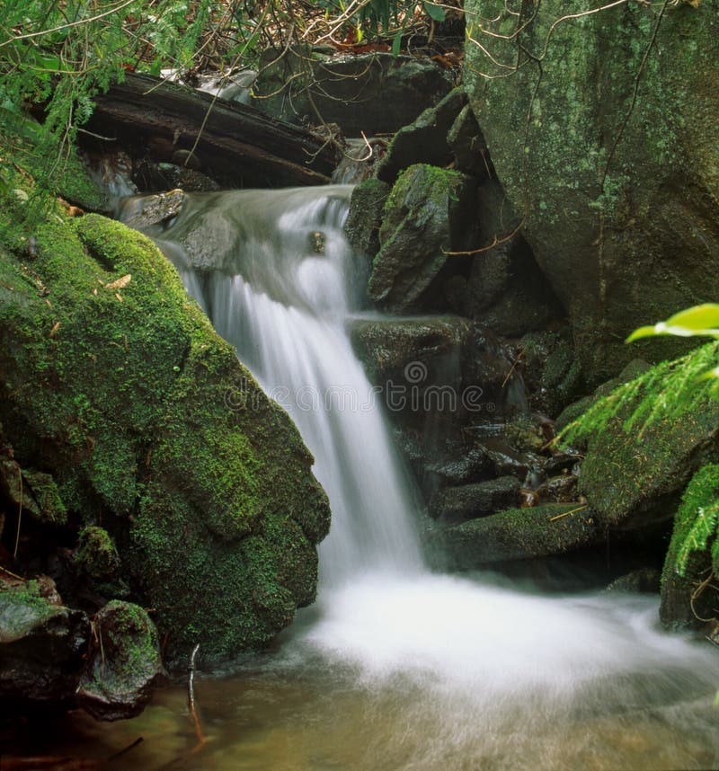 Small Waterfall stock photo. Image of carolina, environment - 1072812