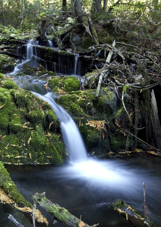 Small waterfall. stock image. Image of rocks, flow, stone - 11320861