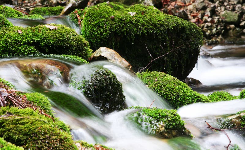 Source of spring water stock image. Image of flowing - 42848423