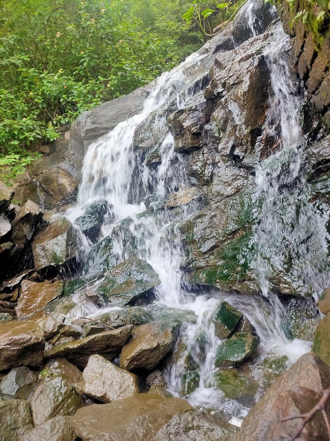 The small waterfall stock photo. Image of tree, nature - 230882224