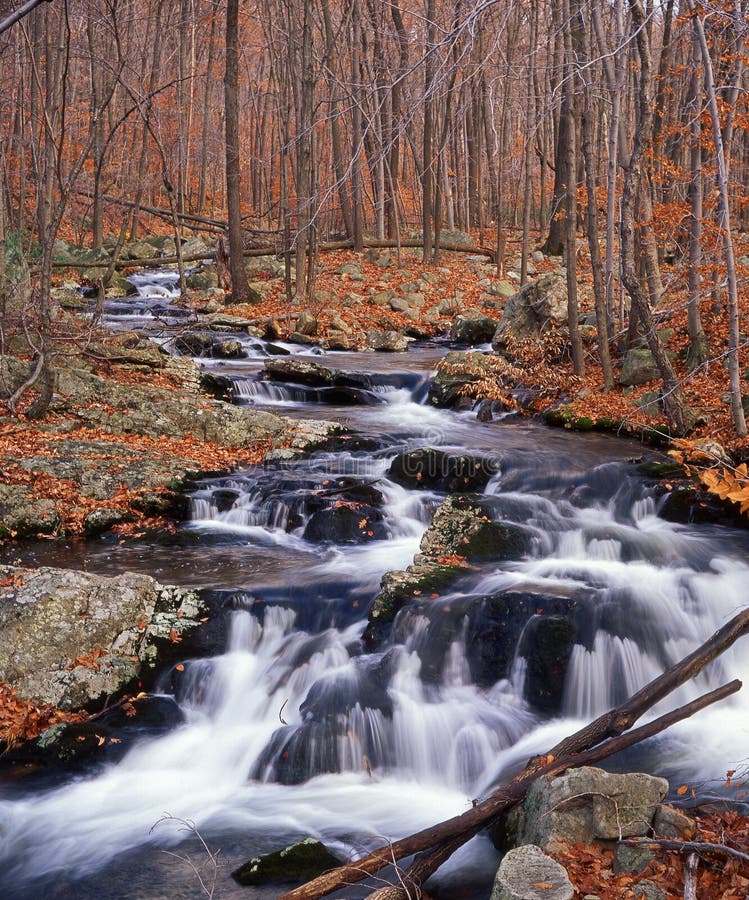 Waterfall stock image. Image of green, scenic, color, gorge - 5400953