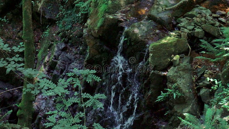 Small Waterfall in Area of Rocks in the Forest Stock Image - Image of ...