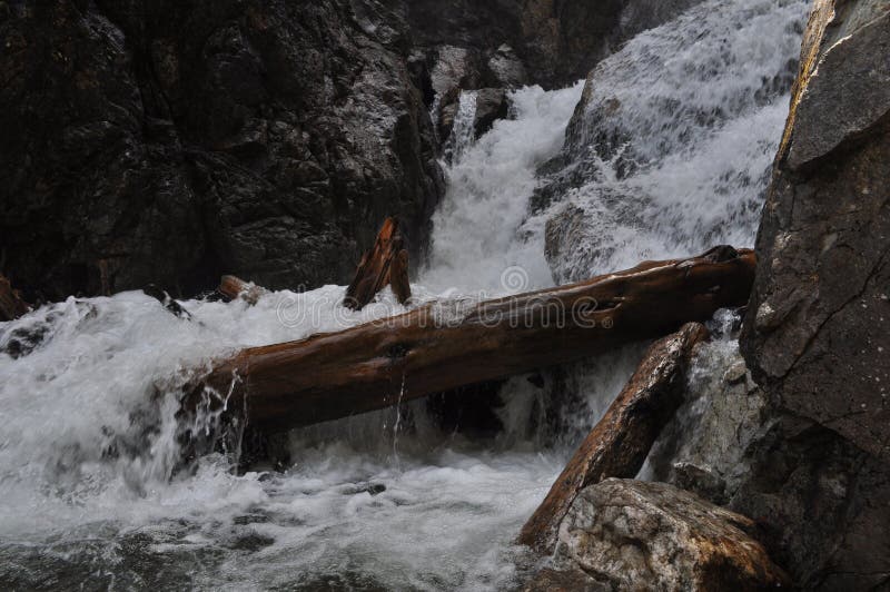 Waterfall break the tree stock image. Image of stream - 272199895