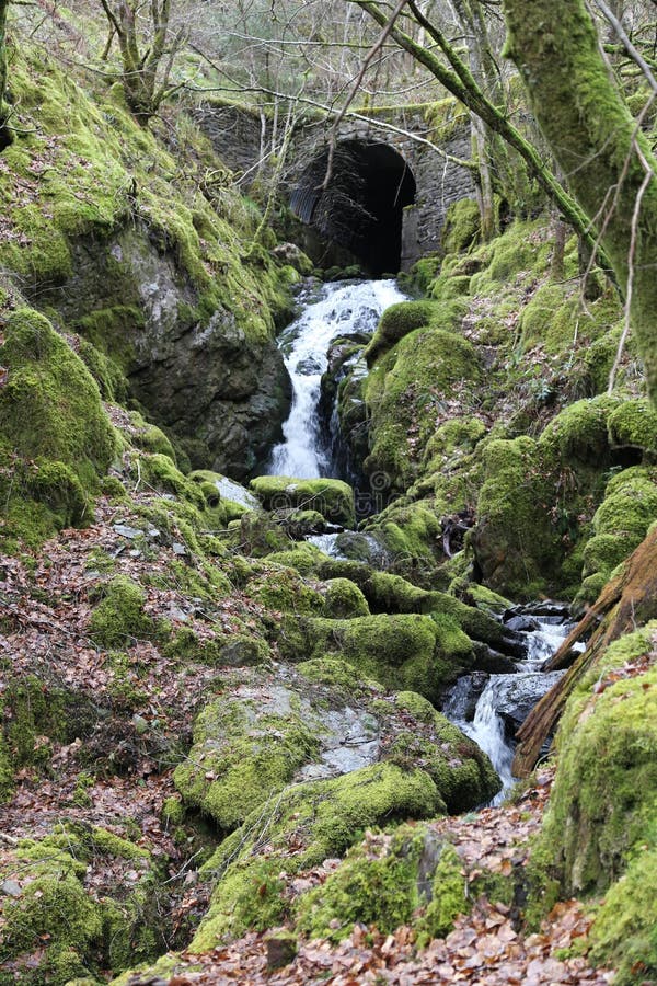 Small Waterfall and Bridge, Stock Photo - Image of river, wild: 125595120