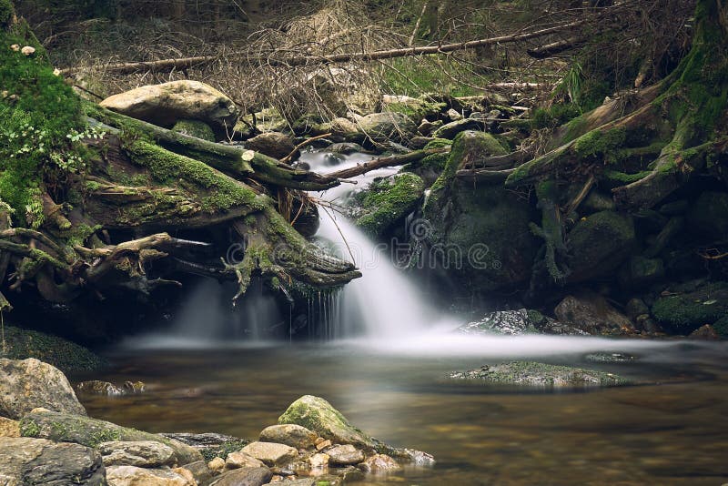 A Waterfall Cascades in a Jungle Forest Cartoon Landscape. River ...