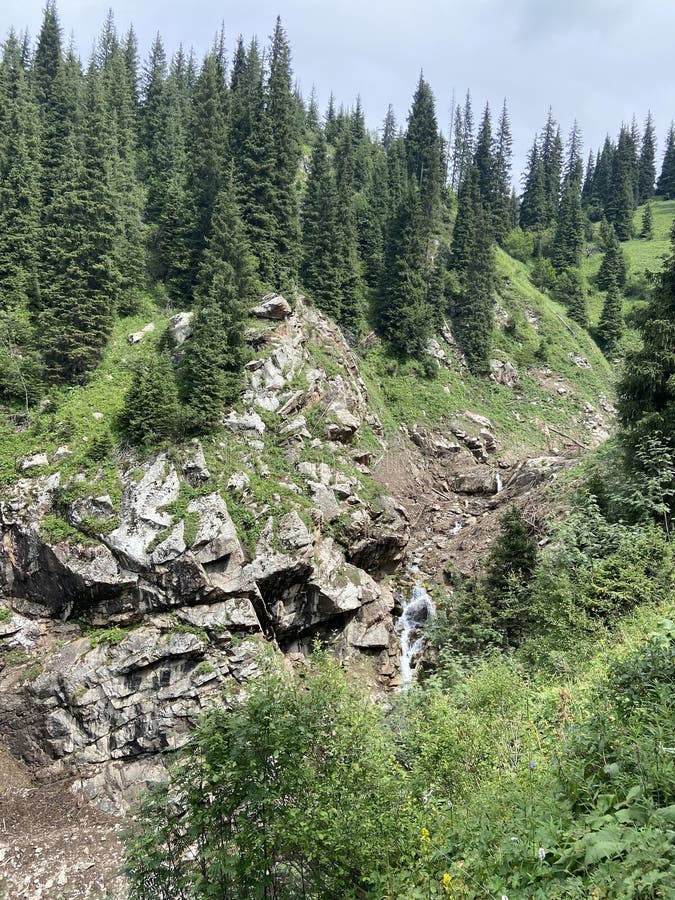 Small Waterfall Cascading Down Rocks in Forest Stock Image - Image of ...