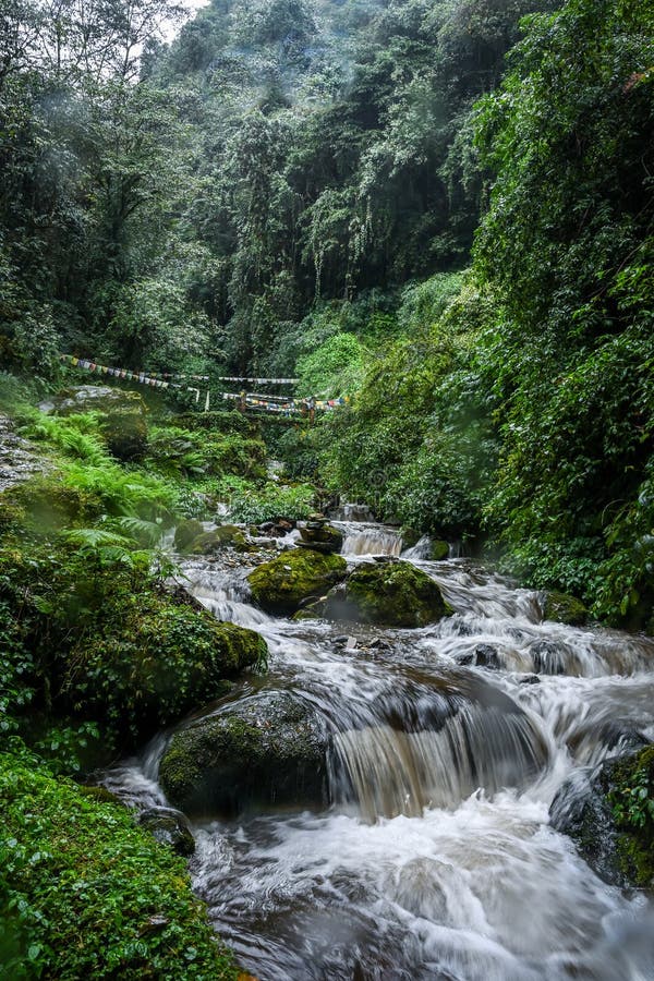 A Small Waterfall Cascading through Mountains of Nepal Stock Photo ...