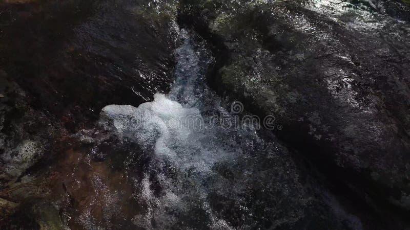 Small Waterfall with Clear Crystal Water in a Forest Stream, Slow ...