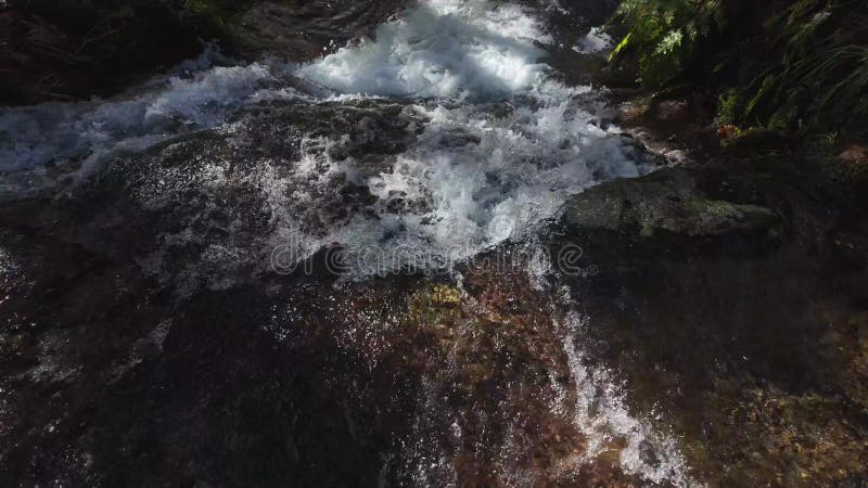 Small Waterfall with Clear Crystal Water in a Forest Stream, Slow ...