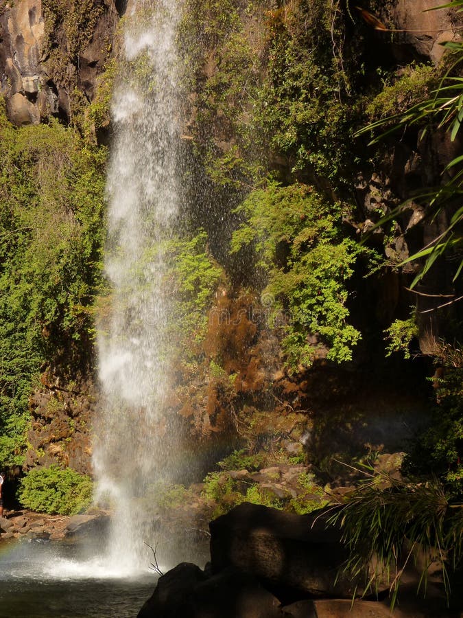 Small Waterfall Flowing of a Basalt Rock in a Deep Forest Stock Image ...