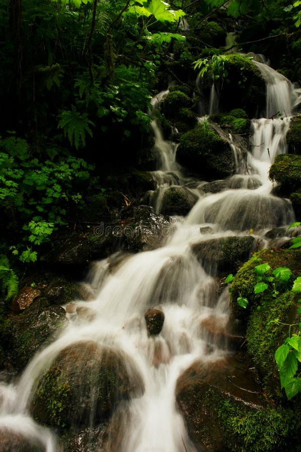 Small waterfall stock image. Image of stones, outdoors - 51115093