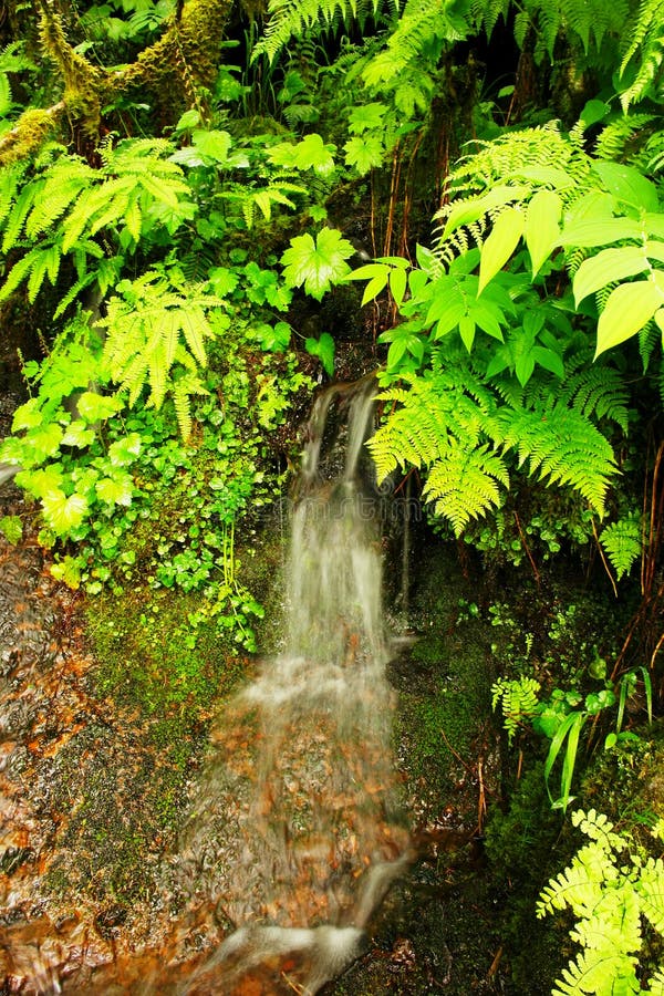 Small waterfall stock image. Image of stones, nature - 51111345