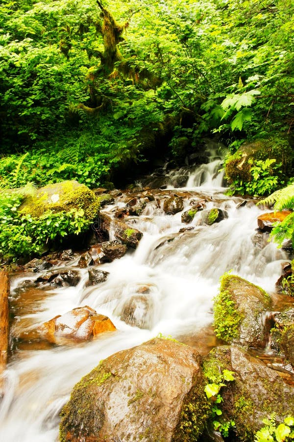 Small waterfall stock image. Image of stones, outdoors - 51115093