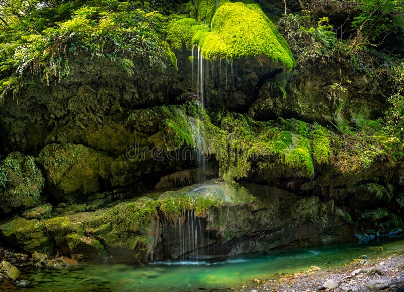 Small Waterfall Flowing Over the Cliff Face and Moss and Lichen in the ...