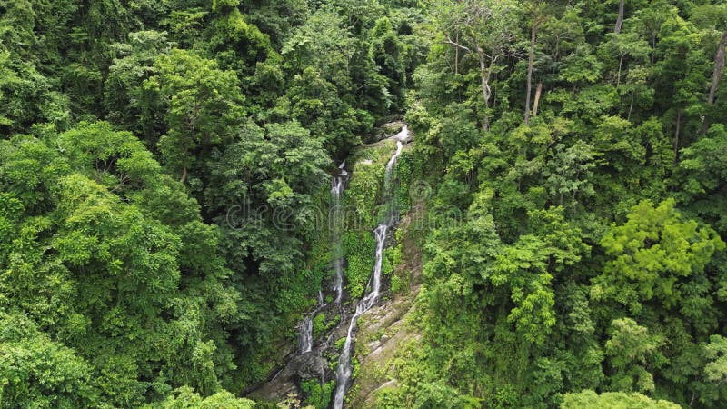 Waterfall Flows Down in Tropical Area with Lush Tree Stock Video ...