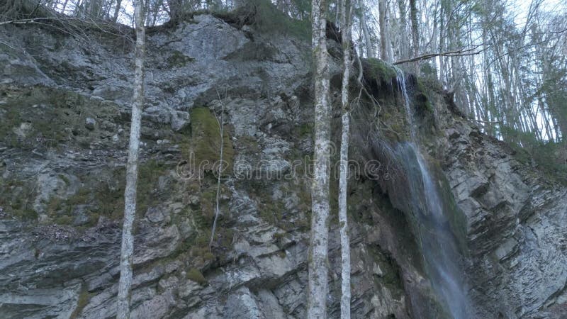 A Small Waterfall Flows Down a Rugged Rock Face in a Dense Forest Stock ...