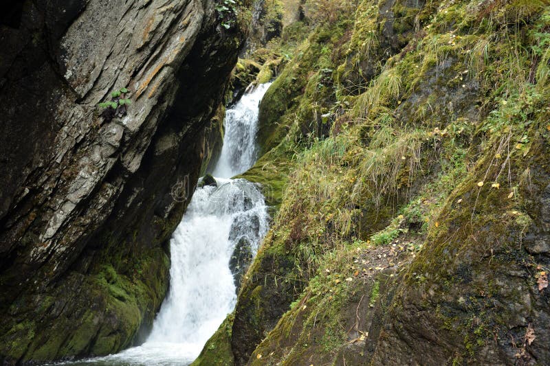 A Small Waterfall Flows from the Mountains through a Narrow Cleft in ...