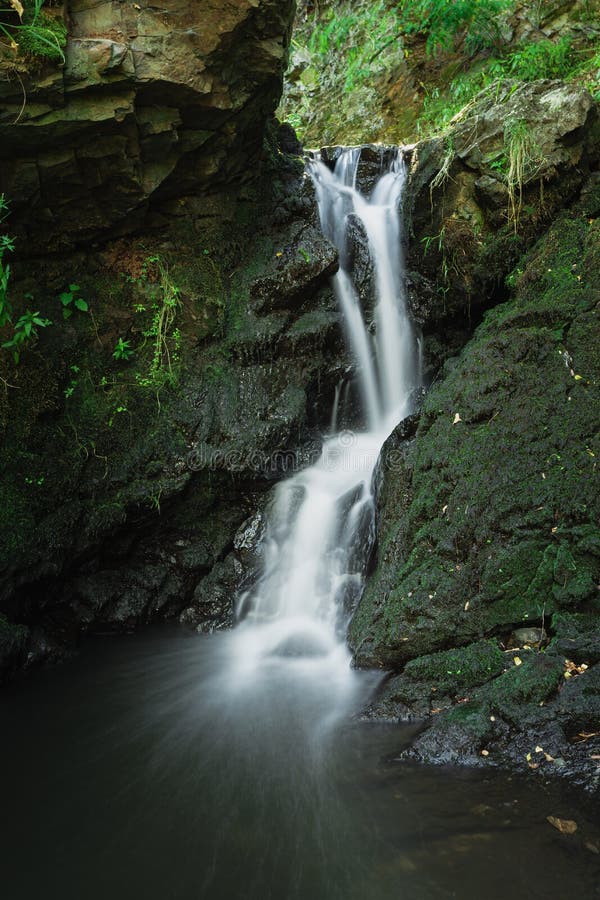 A Small Waterfall in the Forest. Stock Image - Image of travel, creek ...
