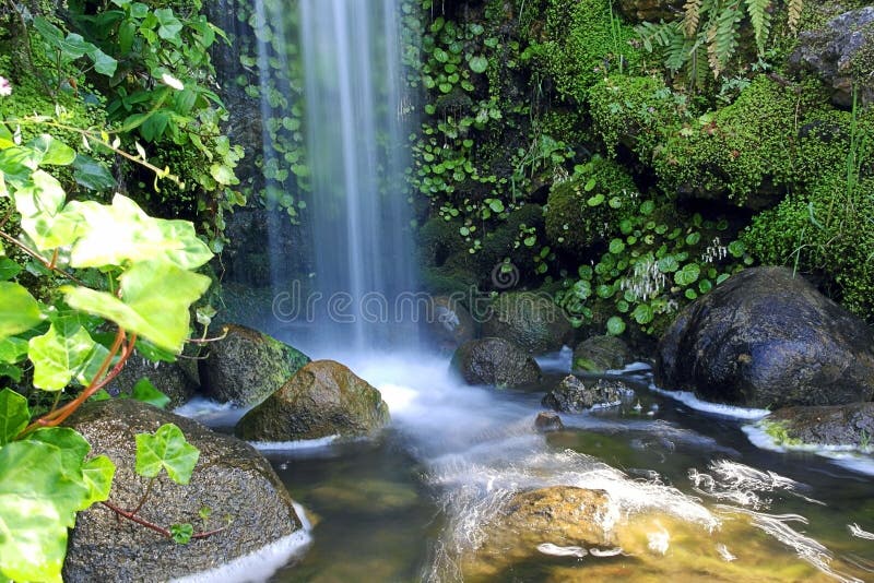 Small Waterfall in the Forest Stock Image - Image of montreal, clarity ...
