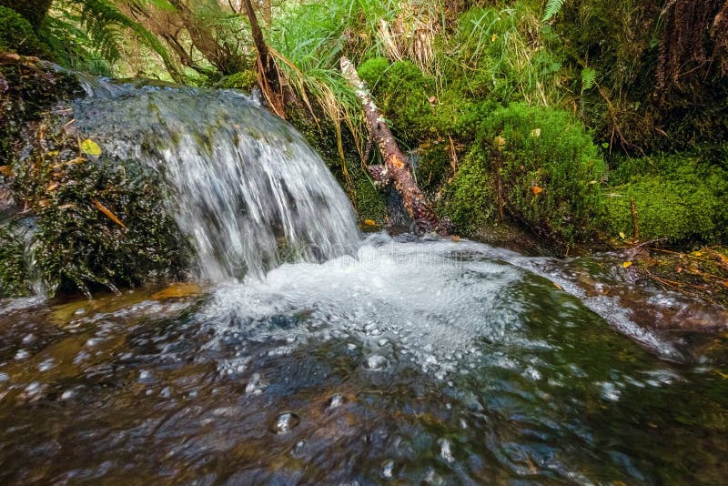 Small Waterfall on a Forest River Close-up Stock Image - Image of leaf ...