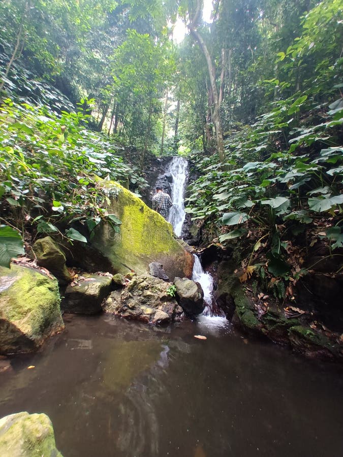 Small Waterfall on Forest Shoots at Sunday Stock Photo - Image of green ...