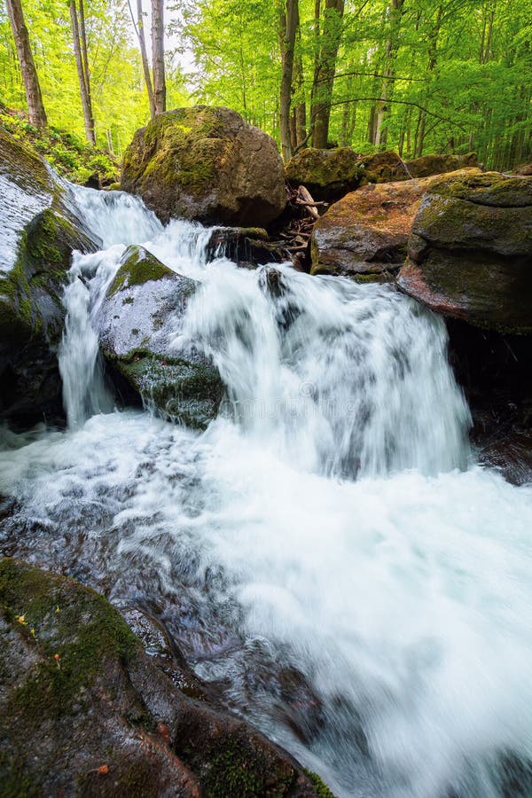 Small Waterfall on a Little Mountain Stream Stock Photo - Image of ...