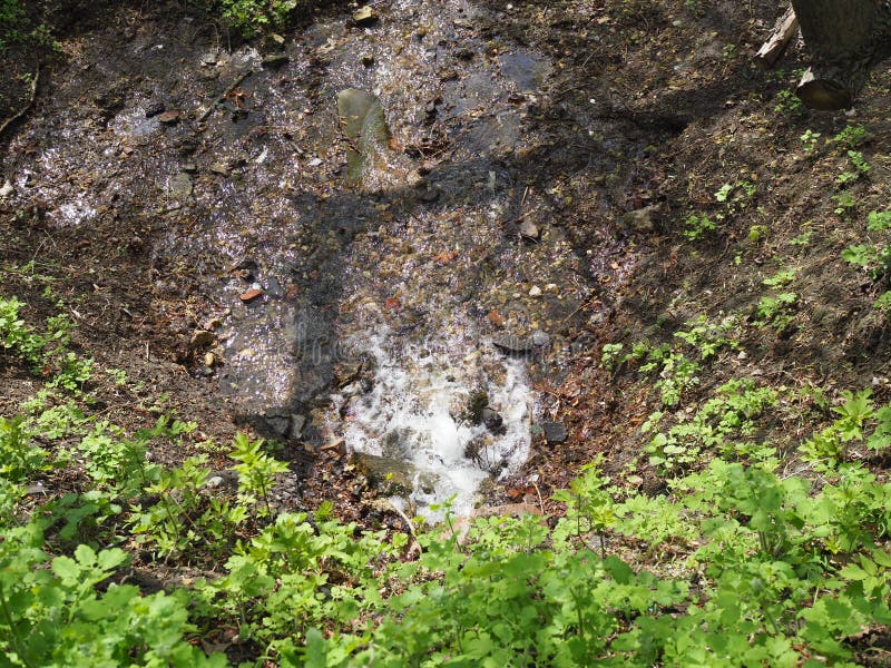 Small Waterfall in the Forest in Spring, Top View Stock Image - Image ...