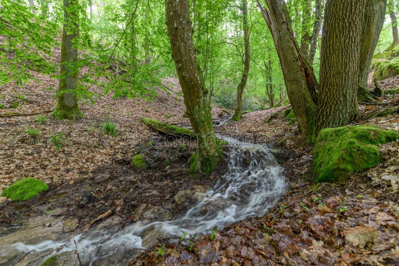 Small Waterfall in the Forest in Spring Stock Image - Image of clean ...
