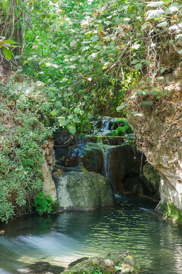 Small Waterfall in a Forest Stream Kziv in the North of Israel Stock ...