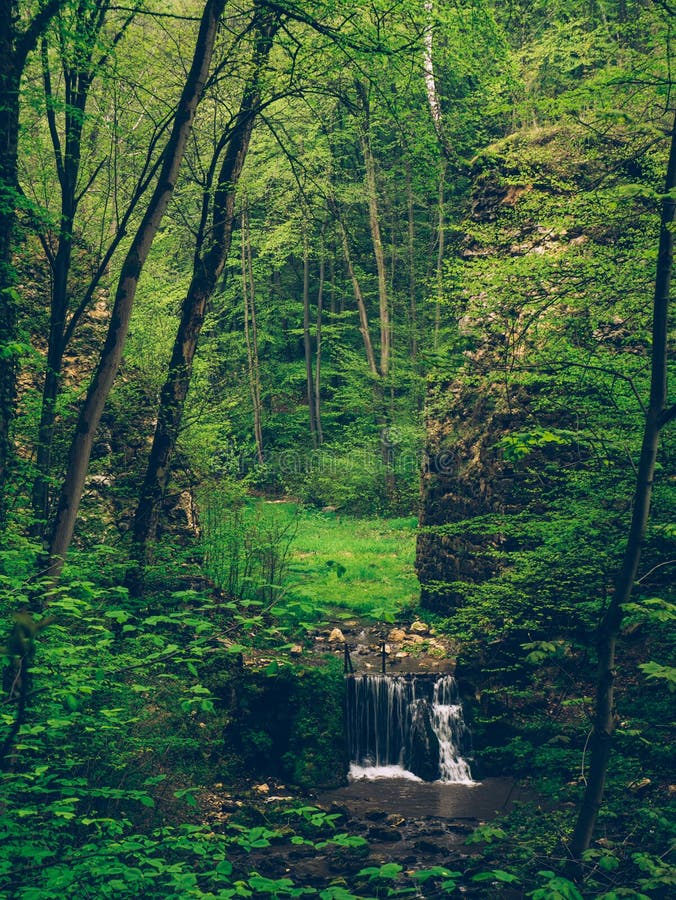 Small Waterfall in the Forest, Stream in the Forest Stock Photo - Image ...
