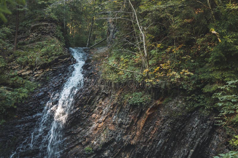 Small Waterfall Forest Summer Landscape Nature Stock Photo - Image of ...