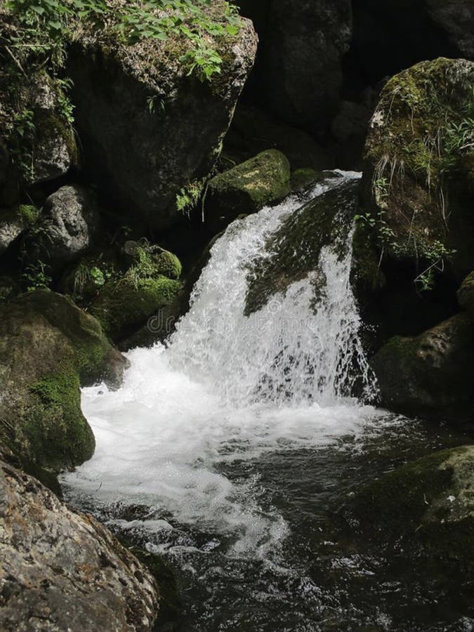 A Small Waterfall in the Forest Stock Image - Image of resources, chute ...