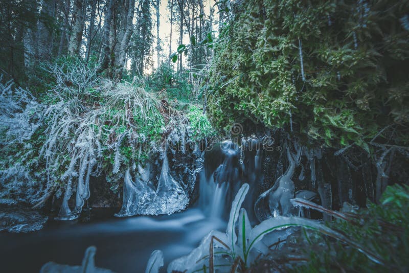 Small Waterfall in the Forest Surrounded by Ice-covered Plants. Stock ...