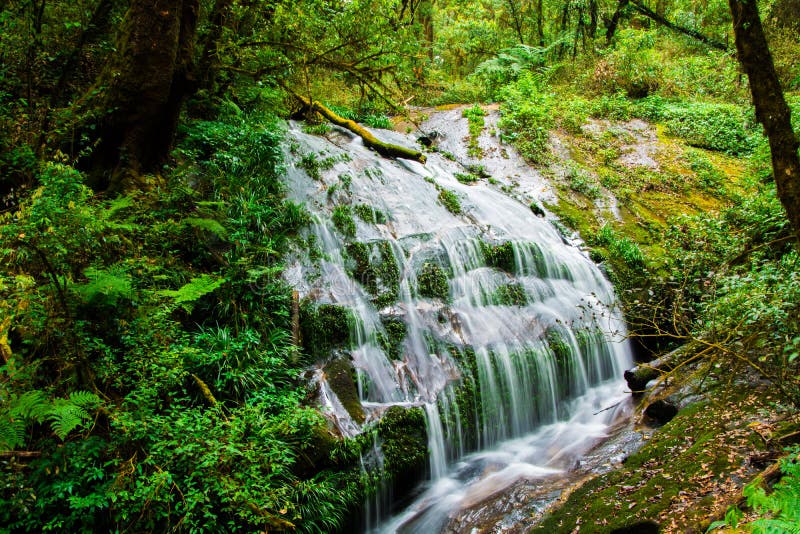 Small Waterfall is in the Forest. Stock Photo - Image of tree, national ...