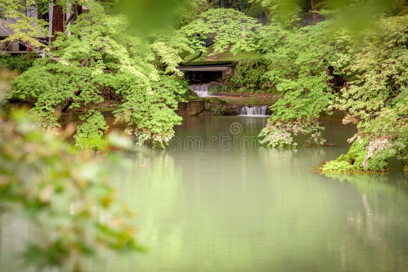 Small Waterfall in a Garden Surrounded by Japanese Maples Stock Photo ...