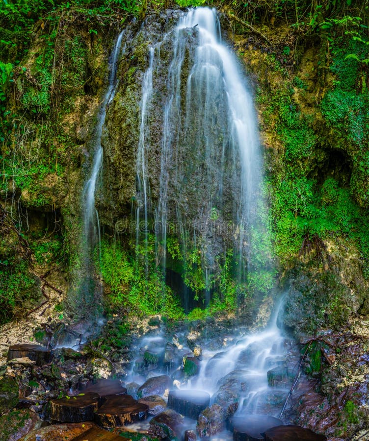 Small Waterfall in the Green Forest . Smooth Clean Water Stock Image ...
